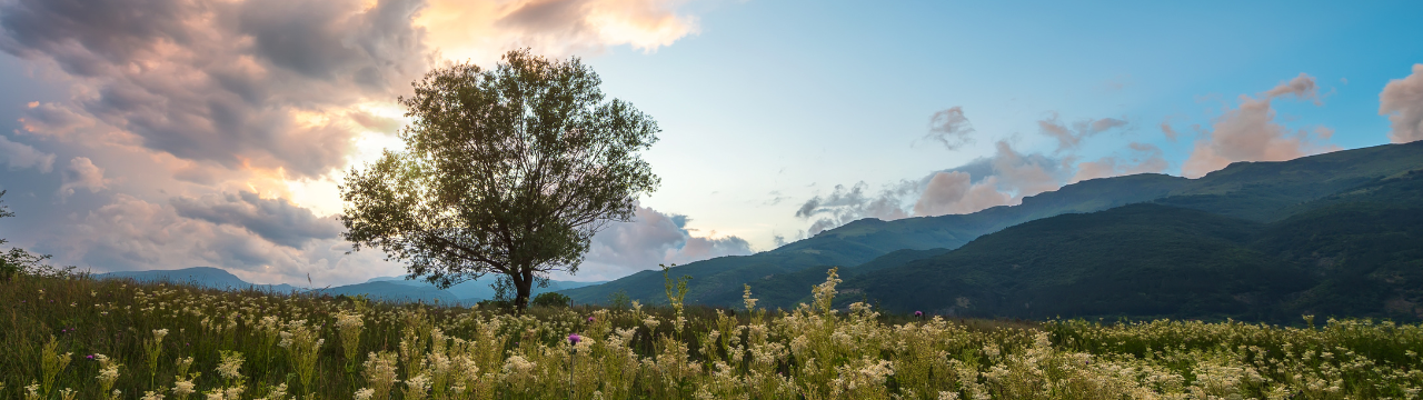 Blog - The TeacherActive 2023-2024 Charity Report is now live | TeacherActive