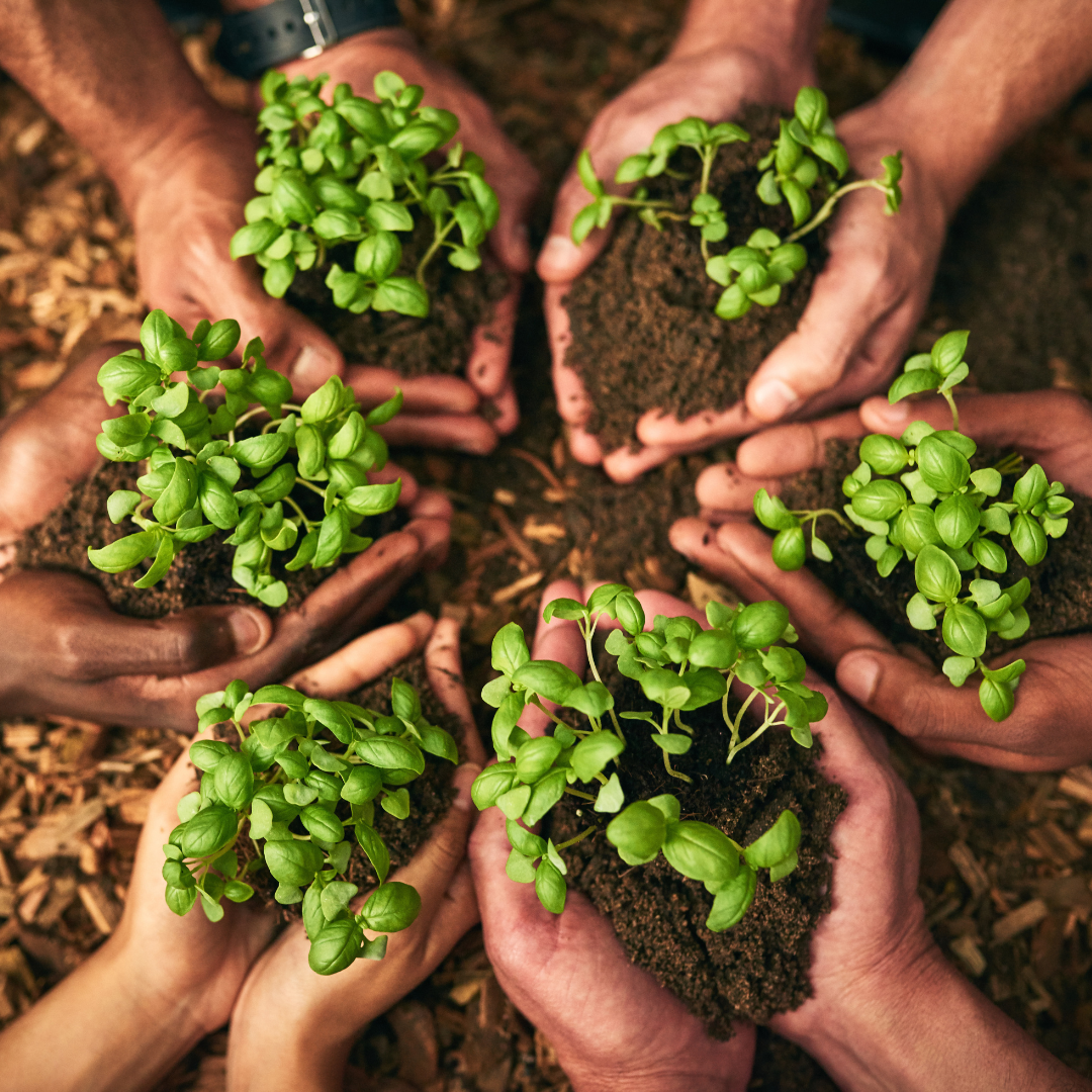 Building a culture of environmental respect and consideration ...